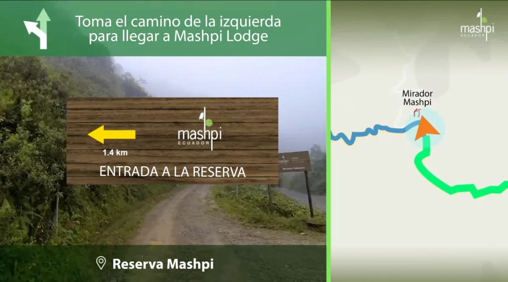 ¿Cómo llego a Mashpi Lodge por mi cuenta? Guía Completa