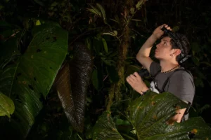 Earth Day: Discover 1 Butterfly Species in Ecuador